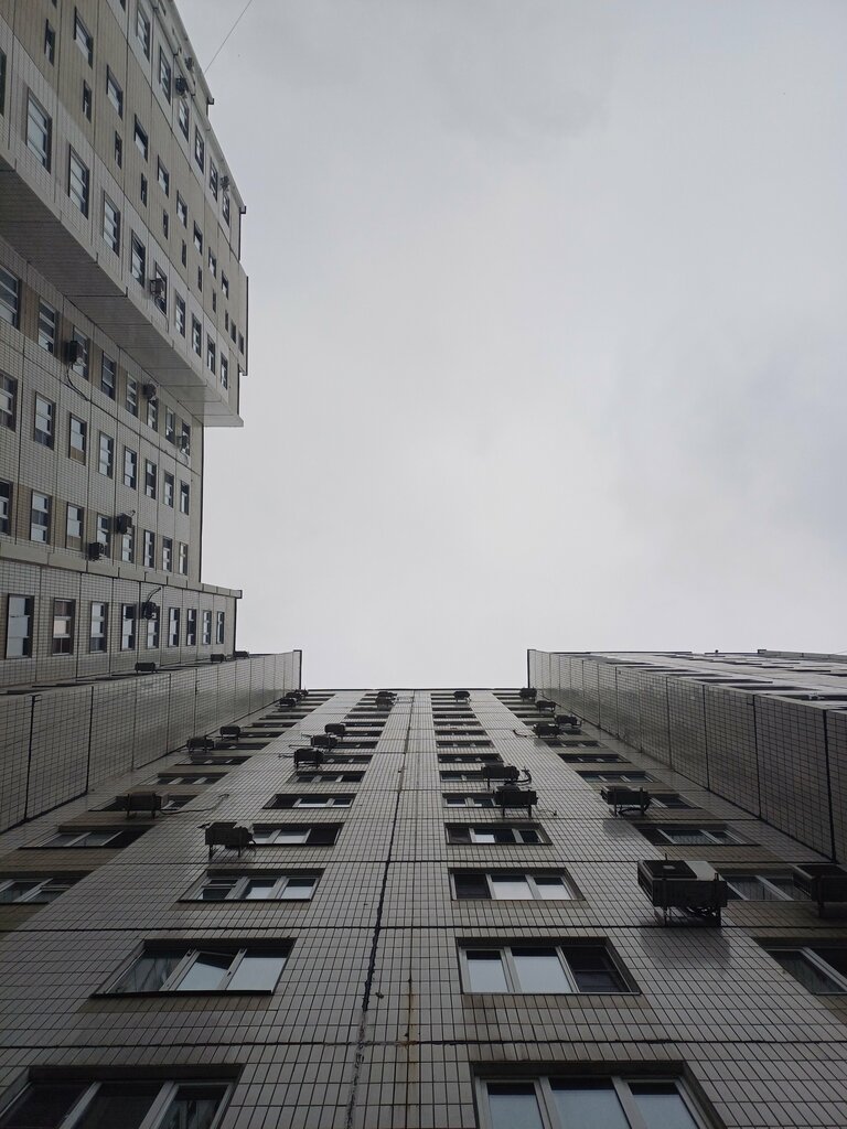 Çocuk gelişim merkezleri Detsky tsentr AkademGorodok, Moskova, foto