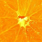 Orange Full (No:28с2, Gora Microdistrict), müşteri memnuniyeti  Moskova'dan