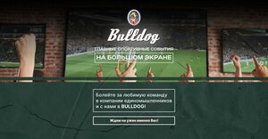 Bulldog (7th Gvardeyskoy Street No:17, Volgograd), kafe  Volgograd'dan