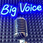 Big Voice studio (Ivana Chernykh Street No:16), müzik okulları ve konservatuarlar  Saint‑Petersburg'dan