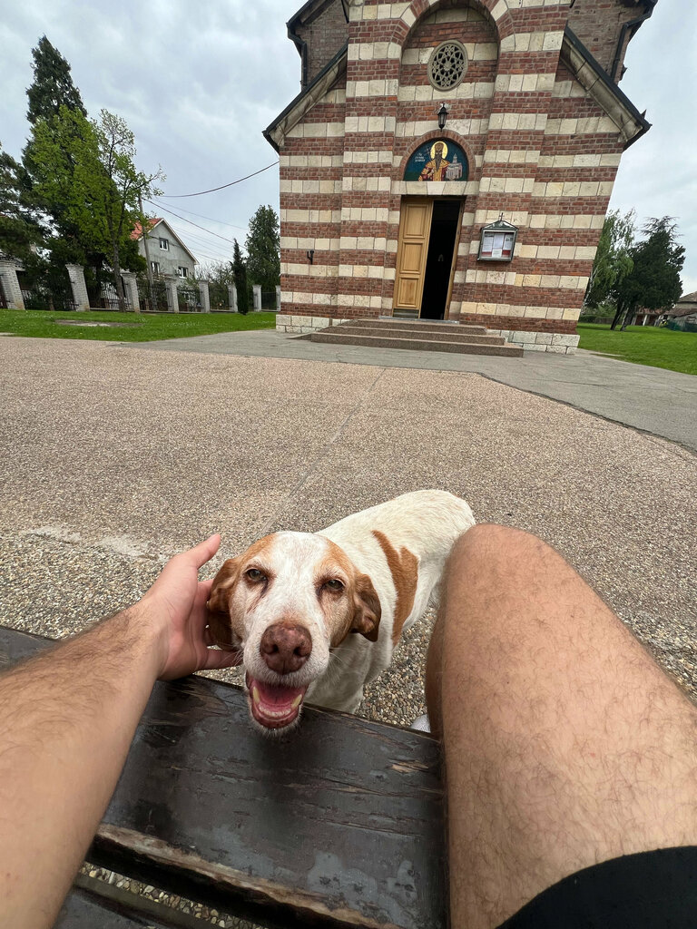 Ortodoks kiliseleri Church of St. John the Baptist, Belgrad, foto