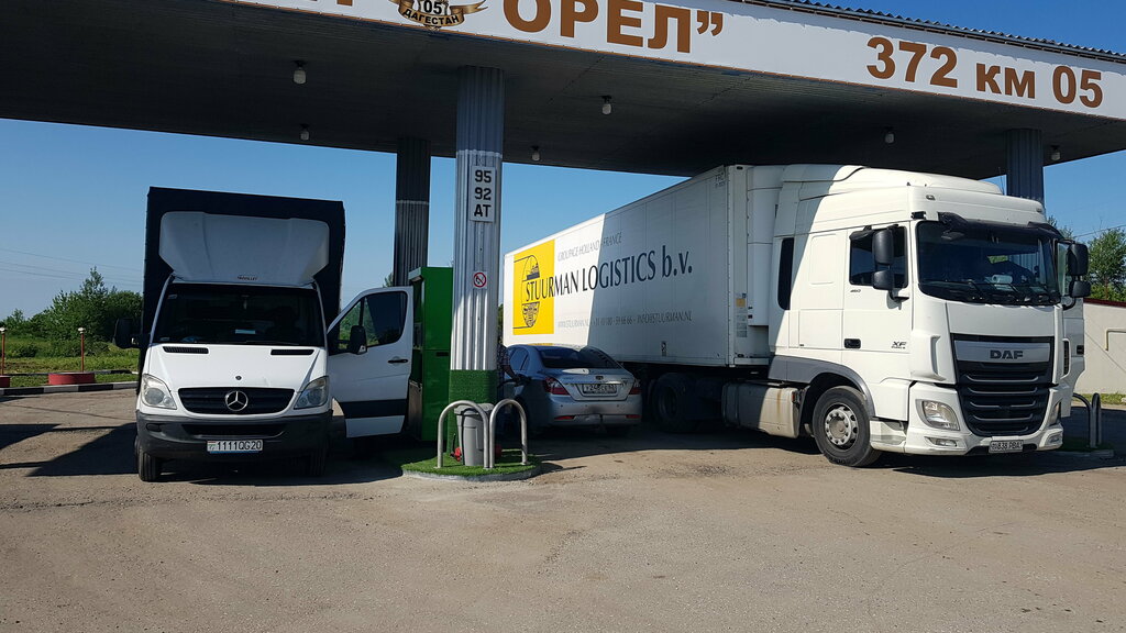 Benzin istasyonu Золотой орёл 05, Riazanskaya oblastı, foto
