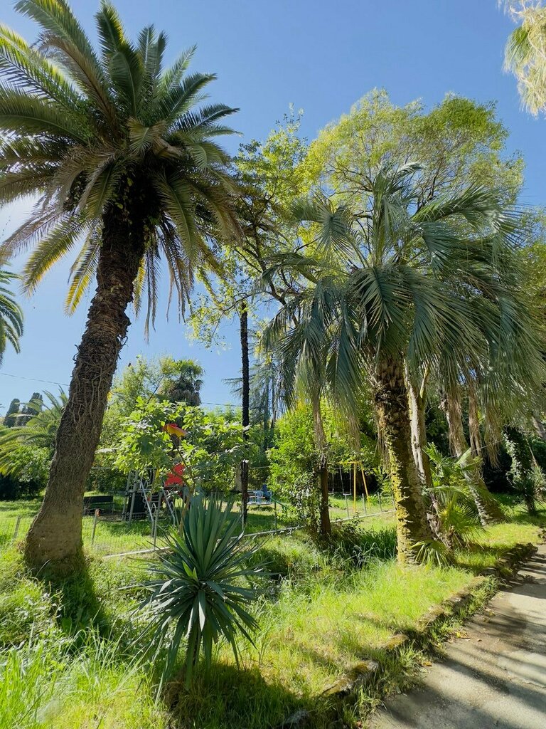 Kısa süreli konaklama Апартаменты Мокко, Suhum, foto