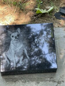 Mezarlıklar Кладбище домашних животных, Soçi, foto