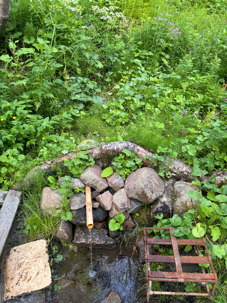 Pınar, çay Spring, stream, Murmanskaya oblastı, foto