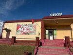 Grocery store (Zadorozhnaya ulitsa No:2, vioska Žabyki), market  Vitebskaya oblastından