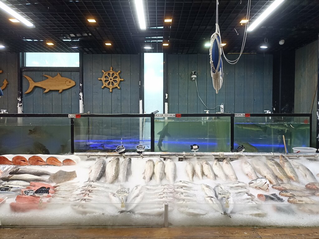 Balık ve deniz ürünleri Ryba ot proizvoditelya, Zelenograd, foto