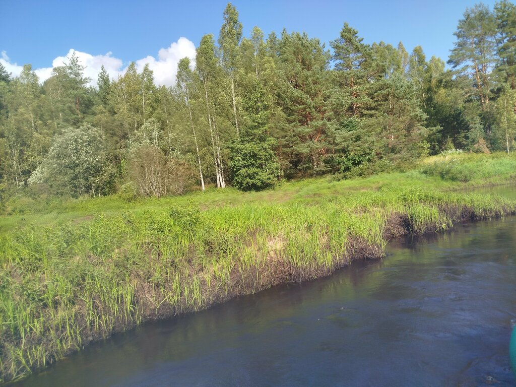 Turistik yerler Руины водяной мельницы, Pskovskaya oblastı, foto