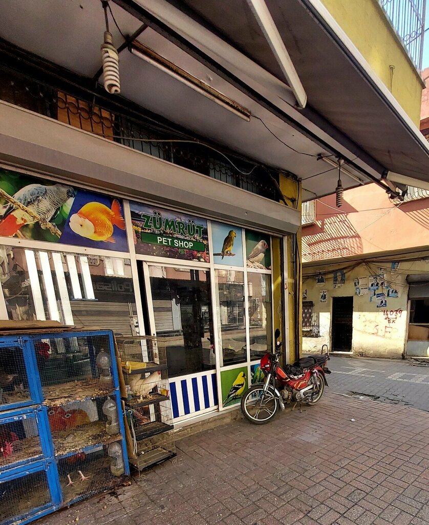 Petshop Zümrüt, Adana, foto