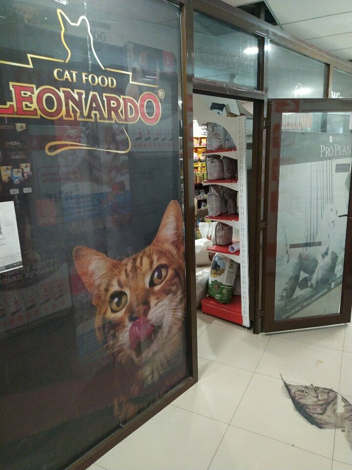 Evcil hayvan kuaförleri A dog's life, Karağandı, foto