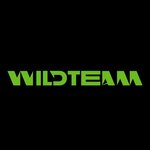 WildTeam (Raketny Boulevard No:16), proje enstitüleri, kurumları  Moskova'dan