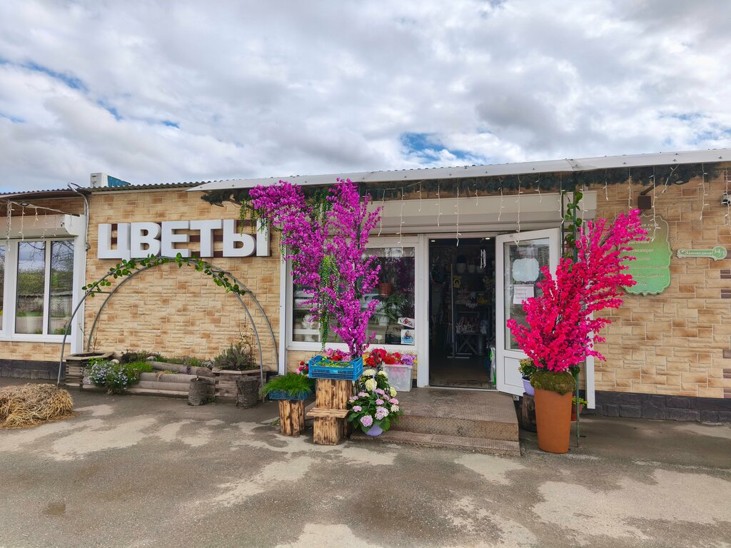 Çiçekçiler Art Flowers, Krasnodarski krayı, foto