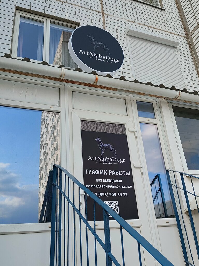 Evcil hayvan kuaförleri ArtAlphaDogs, Tolyatti (Togliatti), foto