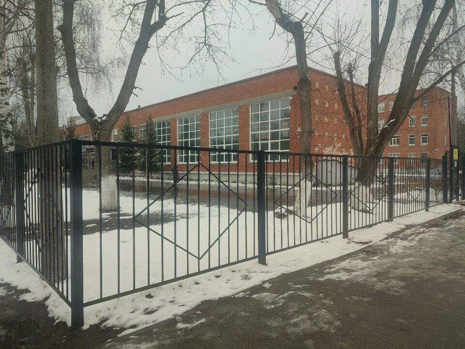 Fen lisesi, sosyal bilimler lisesi MAOU Gymnasium № 184, Nijni Novgorod, foto