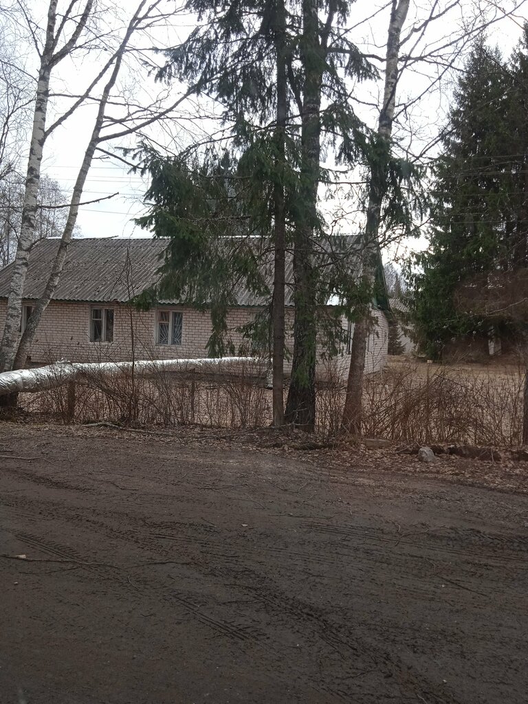 Dispanserler Sherekhovichskaya Tuberkulezno-Legochnaya Khirurgicheskaya bolnitsa, Novgorodskaya oblastı, foto