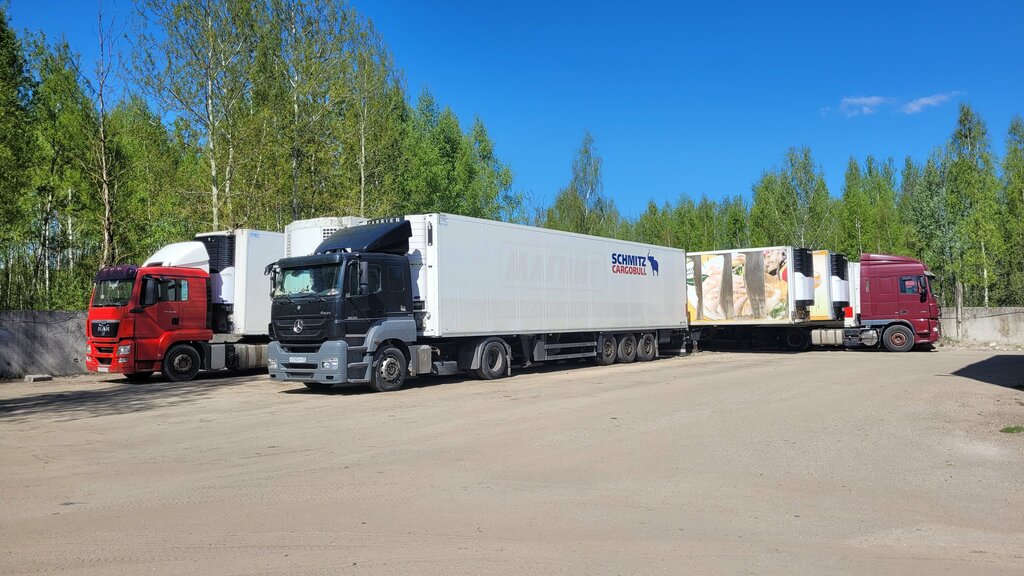 Nakliye firmaları Лира, Briansk, foto