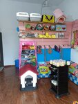 Patte à Woof (Abidjan, Cocody, Quartier de la Angré), petshop  Abican'dan