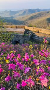 Fort of Empress Catherine the Great (Primorye Territory, Vladivostok, Sovetskiy District), turistik yerler  Vladivostok'tan
