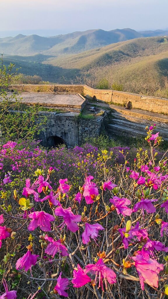 Turistik yerler Fort of Empress Catherine the Great, Vladivostok, foto
