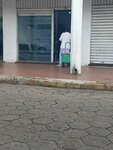 Dra. Marianela Lopez (Santa Cruz de la Sierra, Distrito Municipal 11, Subdistrito CI, Santa Bárbara, 83), avukatlar  Bolivya'dan