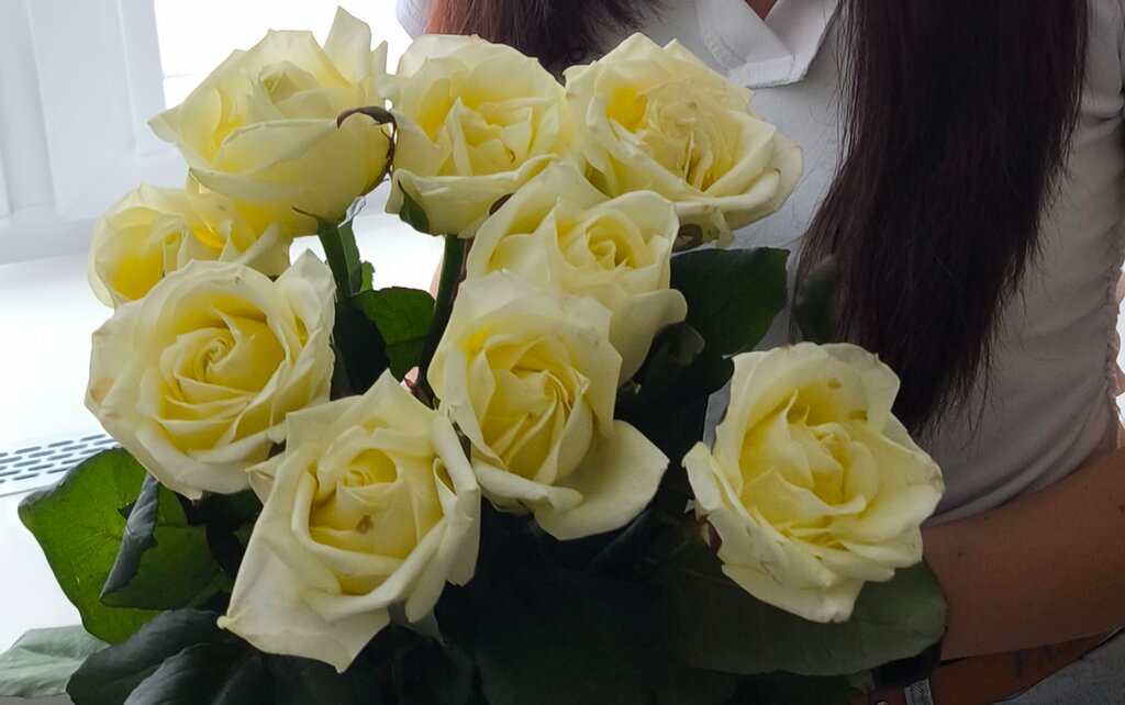 Baskı hizmetleri Фитодизайн, Arzamas, foto