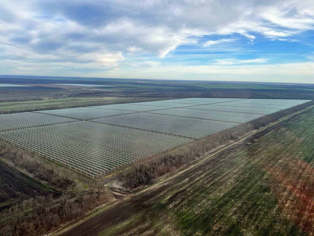 Fidan yetiştiriciliği Sady Stavropolya, Stavropolski krayı, foto