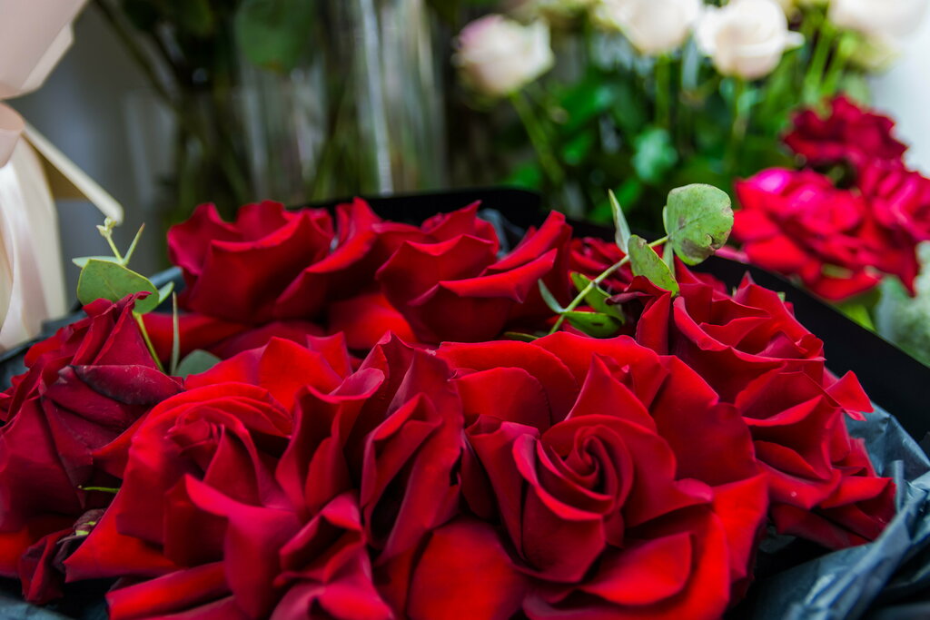 Çiçekçiler ArtFlora, Naberejniye Çelny (Yar Çallı), foto