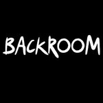 Backroom (Gruzinsky Val Street No:11с3), gece kulüpleri  Moskova'dan