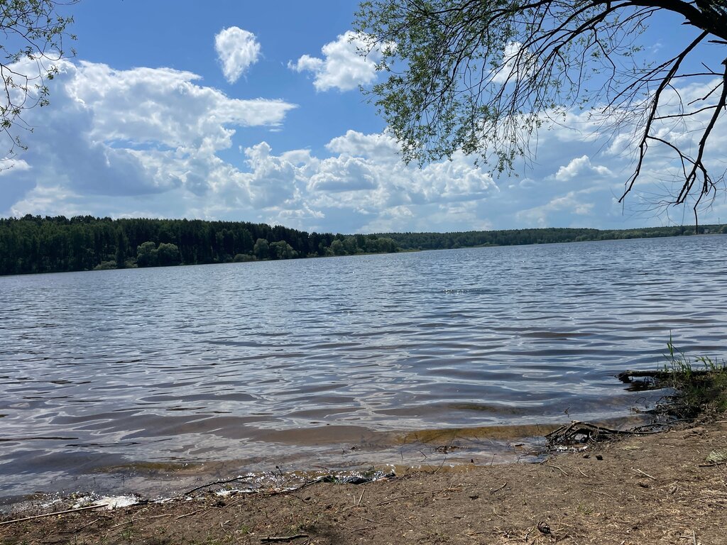 Plaj Пляж, Moskova ve Moskovskaya oblastı, foto