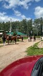 Отклик (ulitsa Sespelya No:33/1, derevnya Moshkasy), at ve binicilik kulüpleri  Çuvaşya'dan