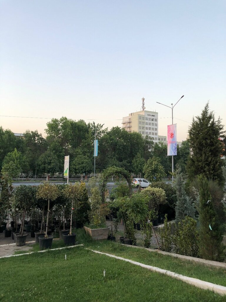 Çiçekçiler Gullar Dunyosi, Nemengan, foto