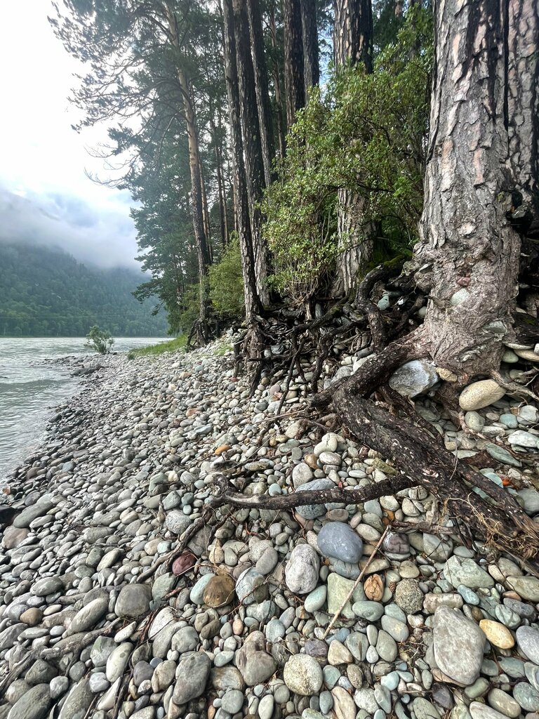 Otel Орлиное гнездо, Altay Cumhuriyeti, foto