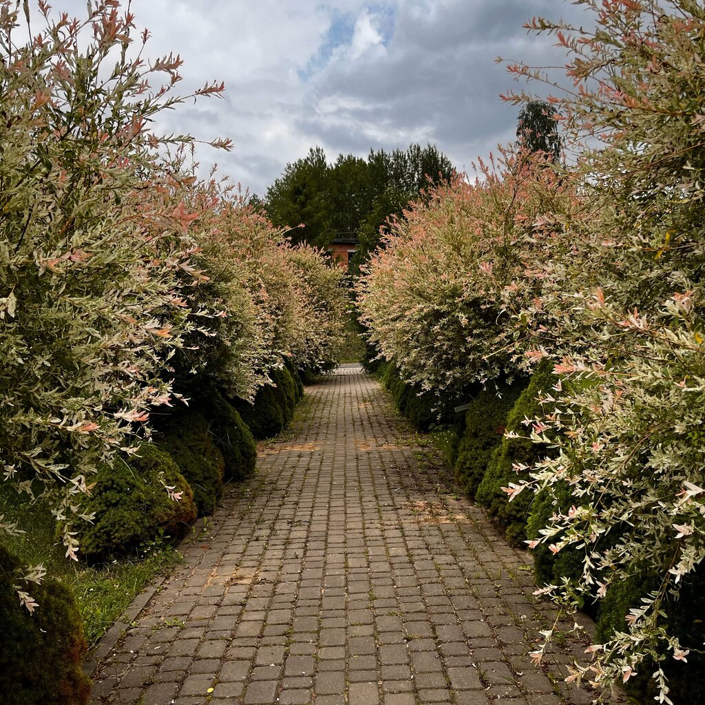 Otel Usad'ba Os, Minskaya oblastı, foto