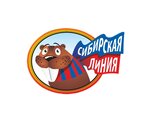 Sibirskaya Liniya (No:18А, Work Settlement of Koltsovo), tavan sistemleri  Novosibirskaya oblastından