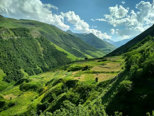 Kasap, şarküteri Nuckatl - The Brand of Nature, Dağıstan, foto