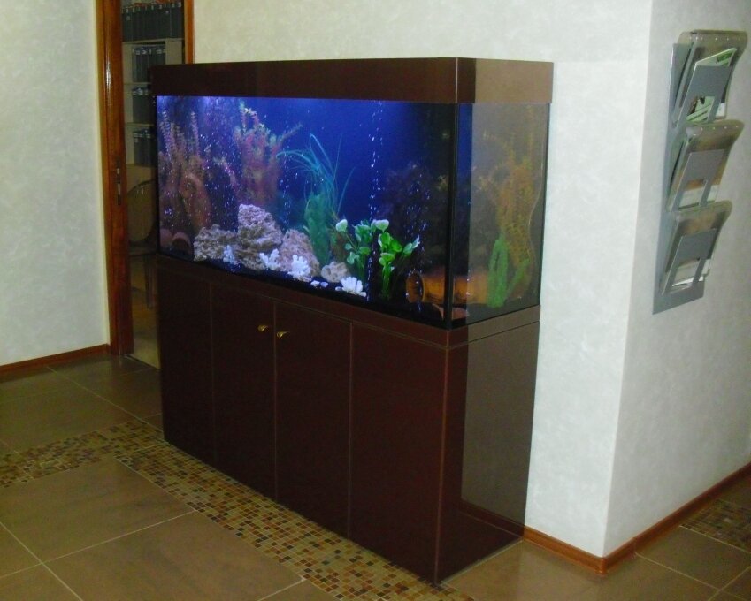 Akvaryumlar Vash Akvarium, Omsk, foto