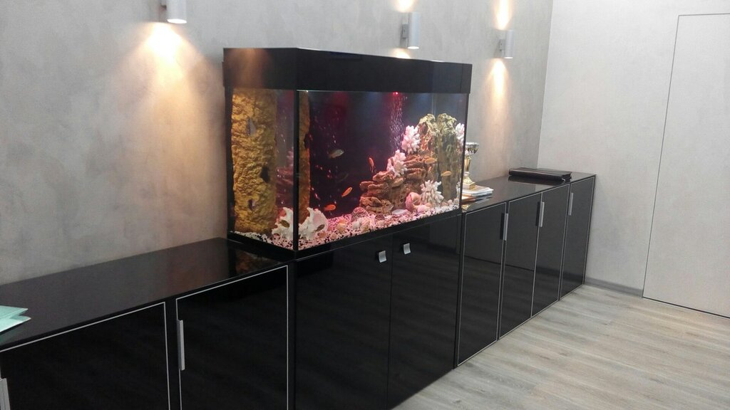 Akvaryumlar Vash Akvarium, Omsk, foto