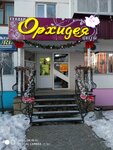 Orkhideya (No:16, 3-shi shaǵyn aýdan), çiçekçiler  Lisakovsk'tan