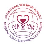 International Veterinary Academy (Ivanteyevskaya Street No:13к1), üniversiteler  Moskova'dan