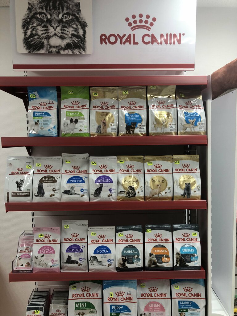 Petshop Лапы, Ulyanovsk, foto