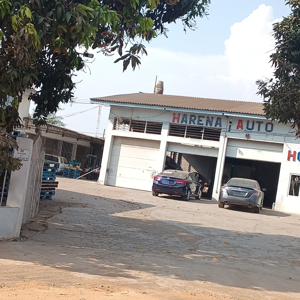 Otomobil satış galerileri Harena Auto Home Depot, Dünya, foto