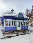 Mini-magazin Lesnichy (Pionerskaya Street No:32А), market  Seversk'ten