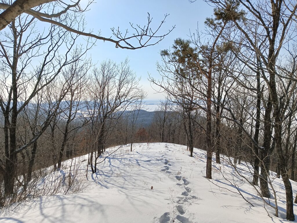 Dağ zirvesi Mount Pivan, Habarovski krayı, foto