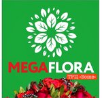Mega Flora (No:17, mikrorayon Olminskogo), çiçekçiler  Stariy Oskol'dan