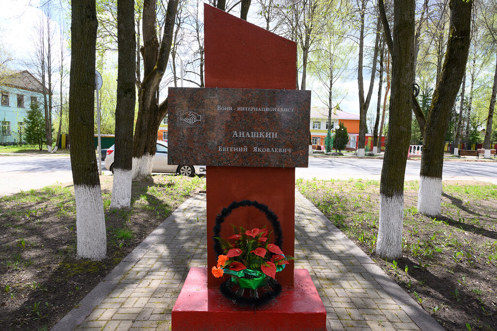 Anıt, heykel Воин-интернационалист Евгений Яковлевич Анашкин, Spas‑Demensk, foto
