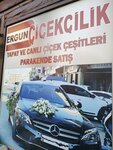 Emet çiçekçi ergun çiçek (Kütahya, Emet, Kaynarca Mah., Keşkekci Sok., 3), çiçekçiler  Emet'ten