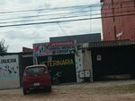Veterinaria y peluqueria canina Stylo Canino (Santa Cruz de la Sierra, Distrito Municipal 2, Tercer Anillo Externo, 3405), veteriner klinikleri  Santa‑Krus'tan