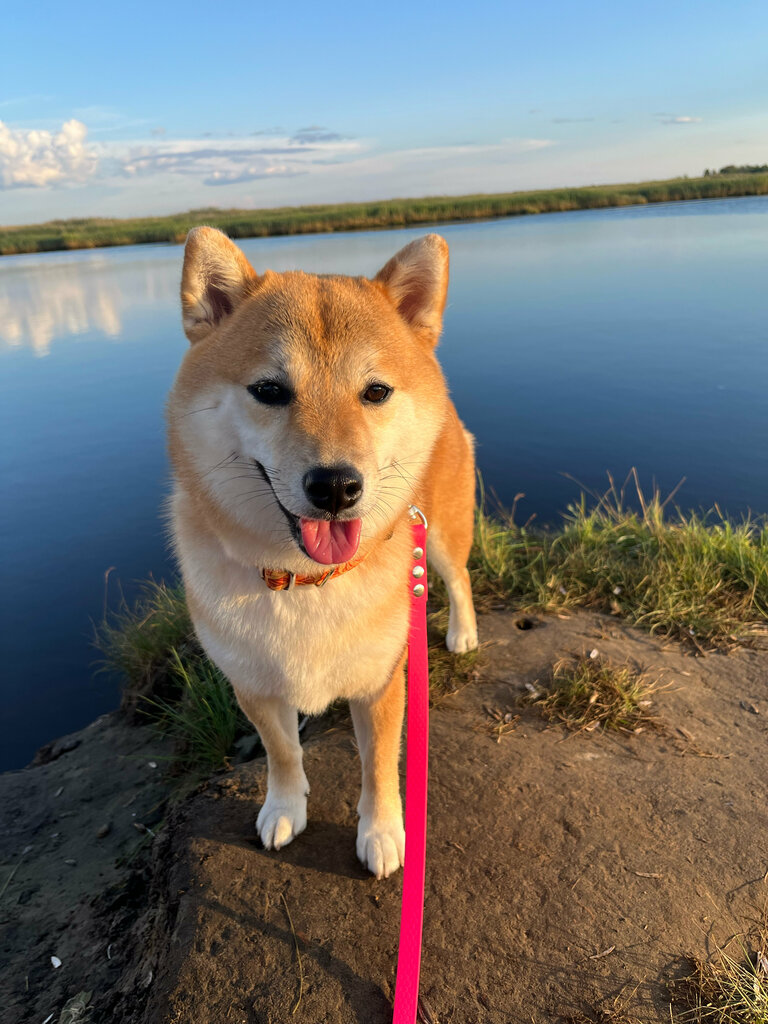 Plaj Пляж, Severodvinsk, foto