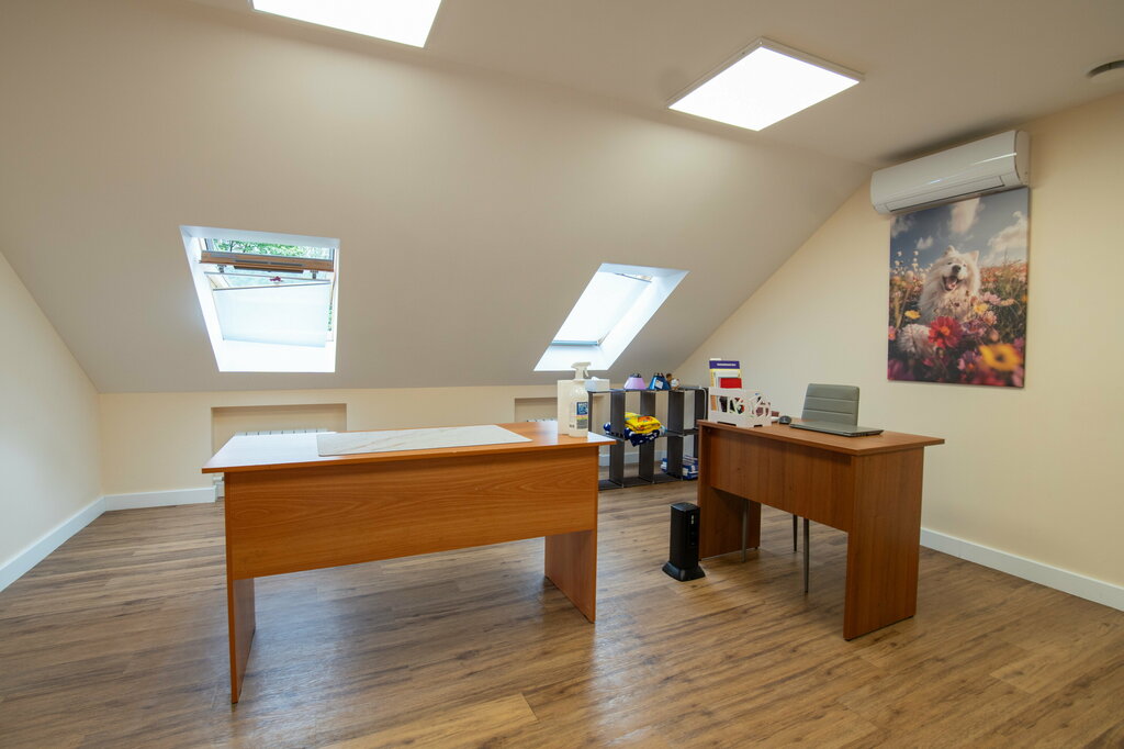 Veteriner klinikleri Pulse, Nijni Novgorod, foto