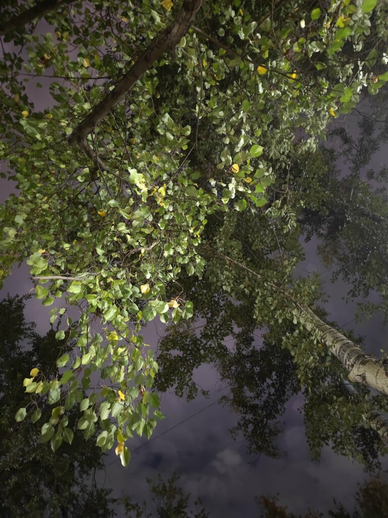 Market Vesna, Akköl, foto